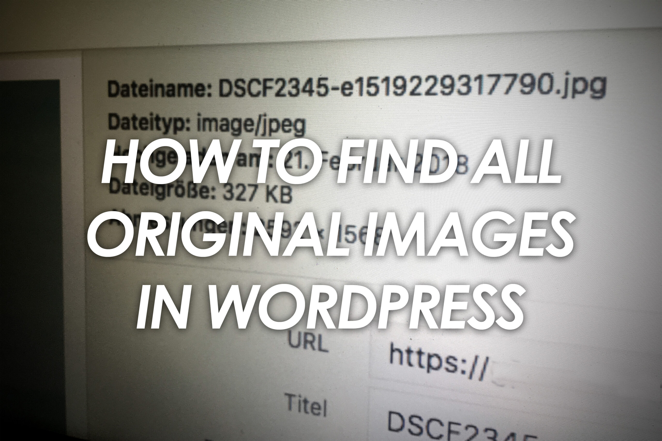WordPress: find and list all original images (although only ‘medium images’ can be found in the ...
